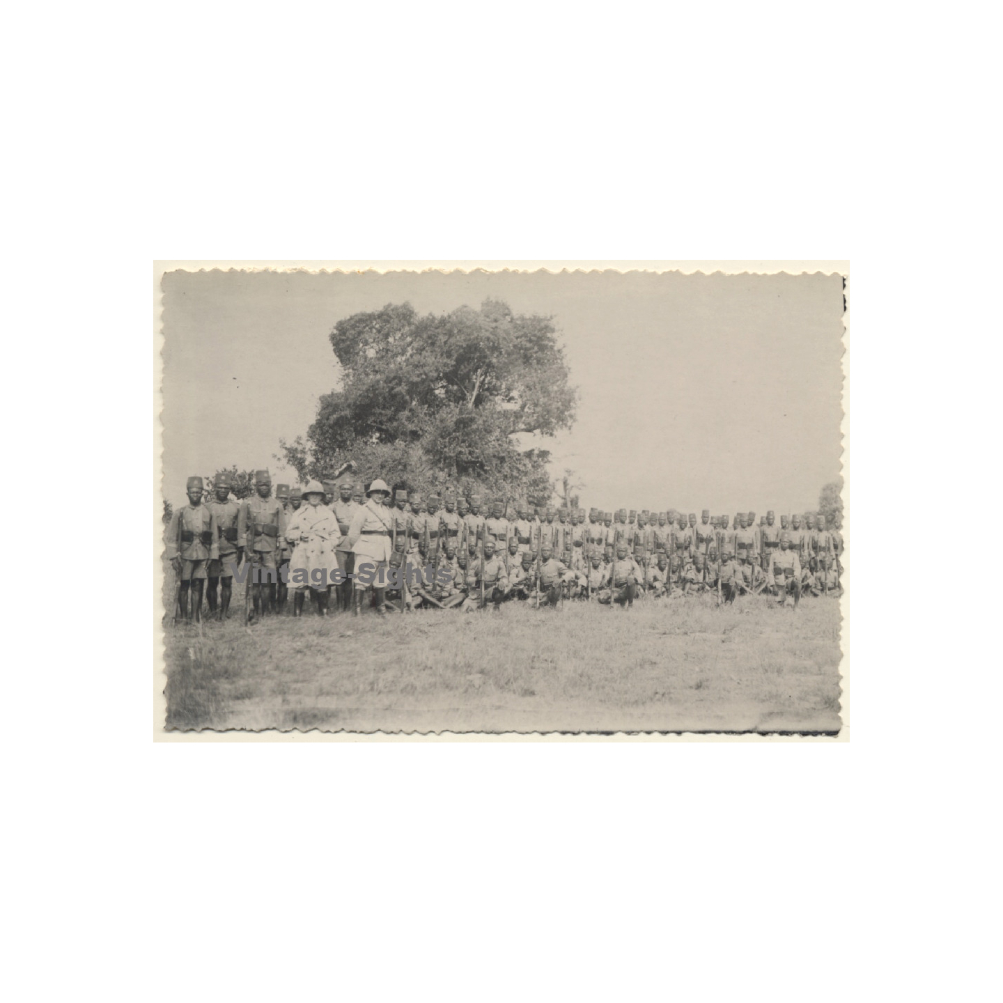 Congo Belge: 2 Colonial Masters & Large Group Of Force Publique ...