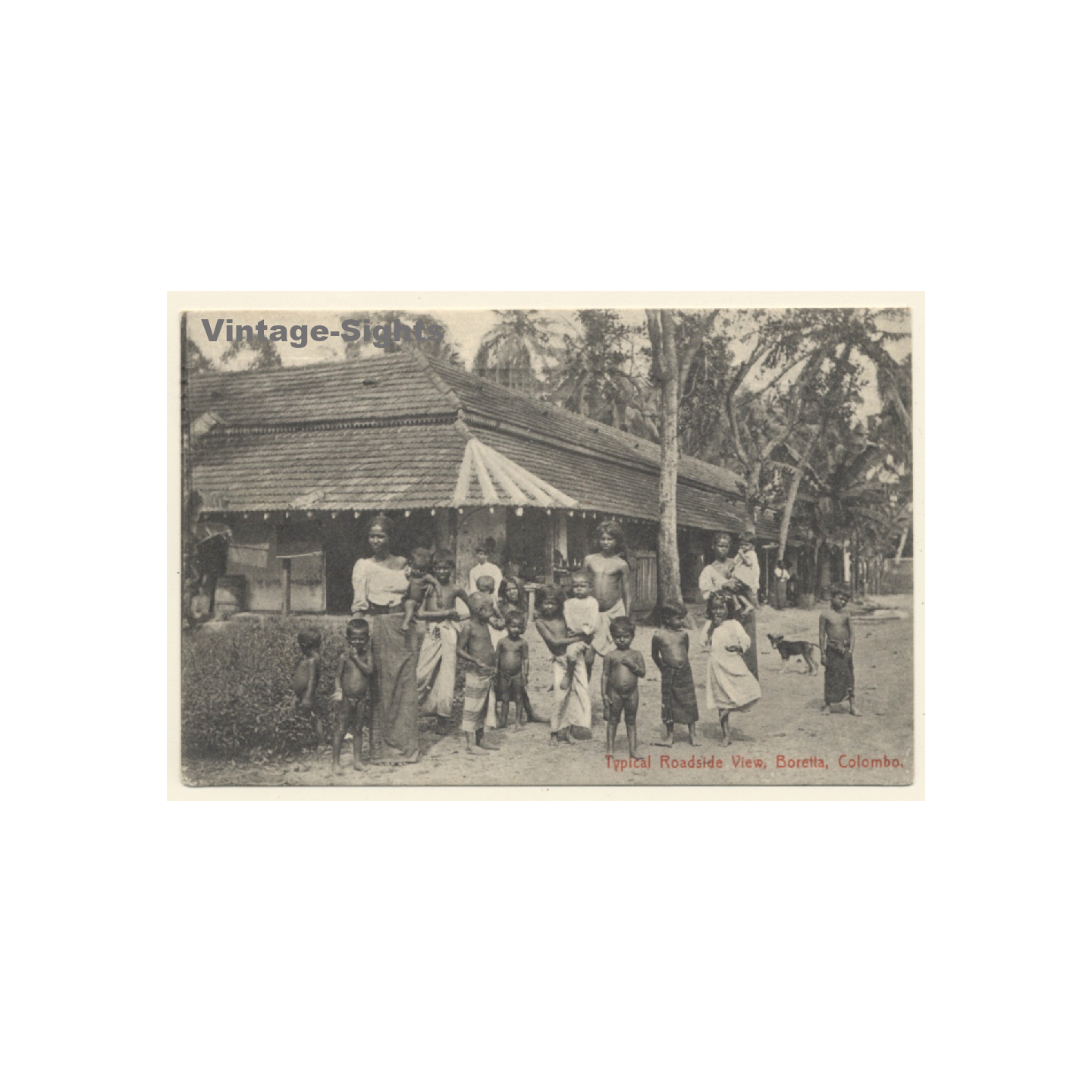 Borella - Colombo / Sri Lanka - Ceylon: Native Woman & Kids (Vintage PC ...