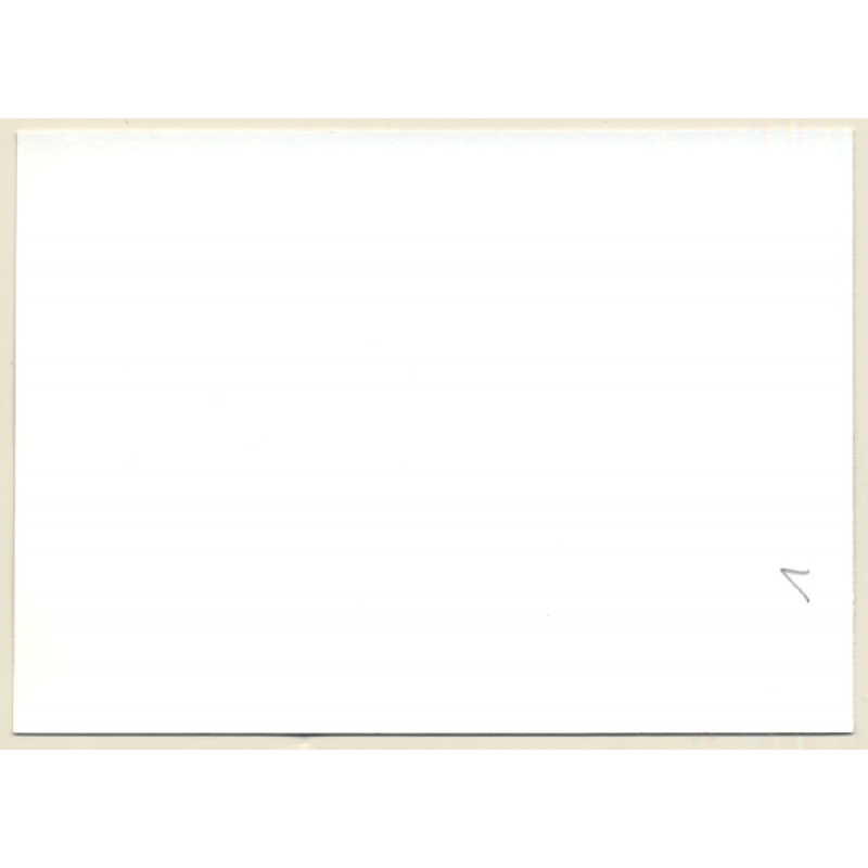 Nude Female Lingering On Flocate Carpet / Nylons (Vintage Photo GDR ...